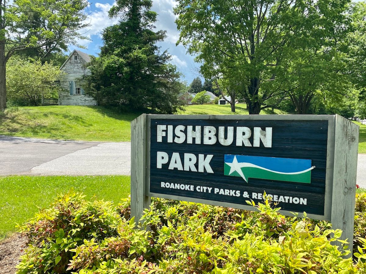 After Hearing Pros and Cons, City Council Delays Vote on Selling ...