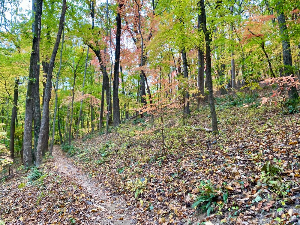 Mill Mountain Trails To Expand Significantly with First Professional ...