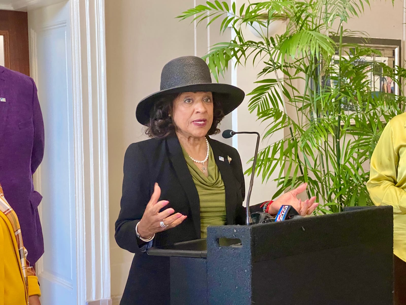 Roanoke Council Names Former Portsmouth City Manager As Interim After ...